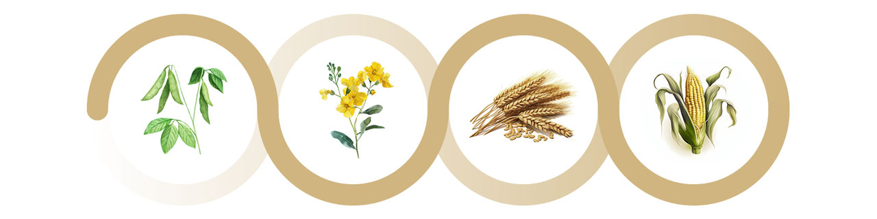 Mise en place d'une bonne rotation des cultures : exemples terrain | KUHN